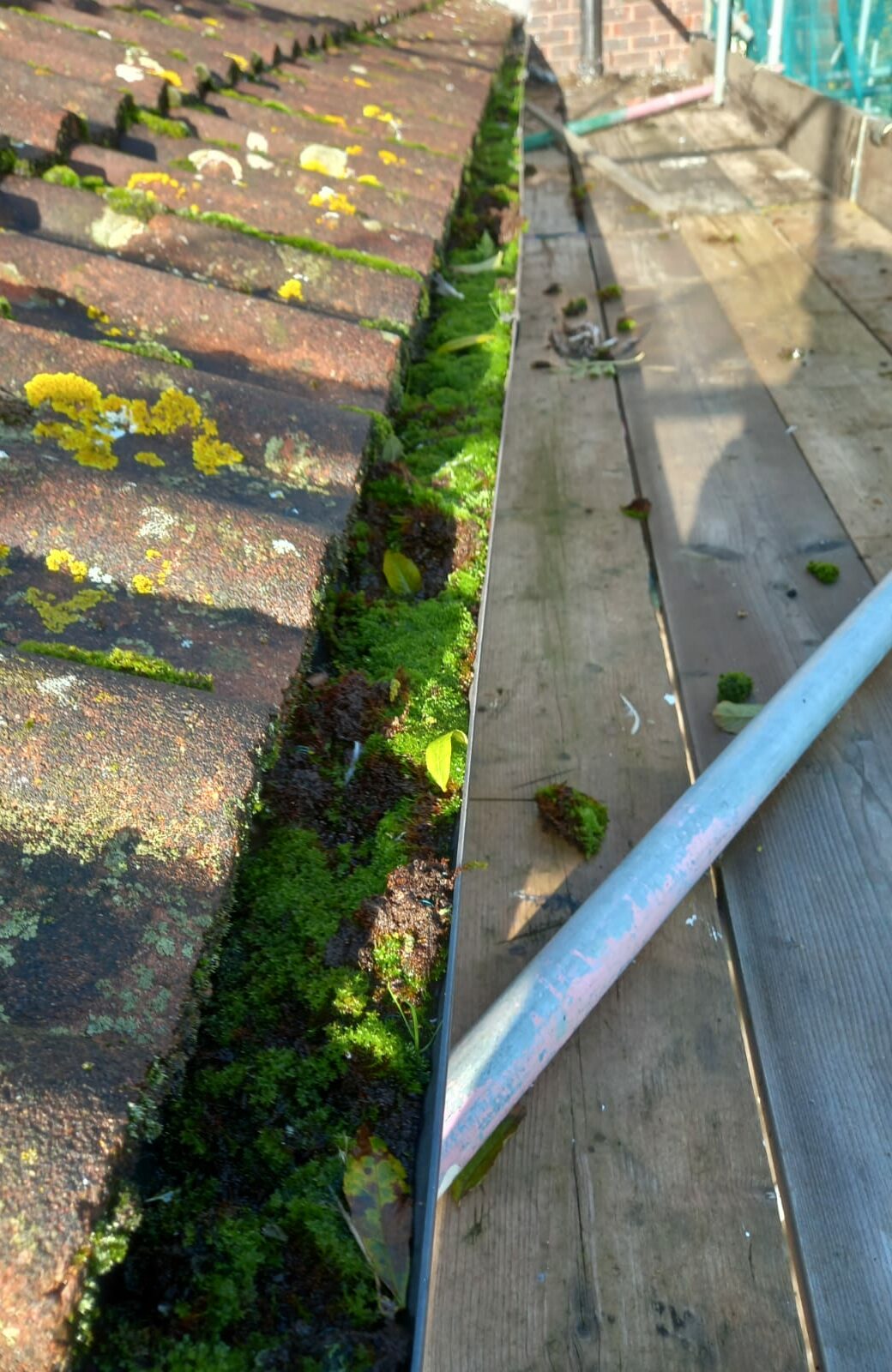 Bird Fouling and Bird Mess Cleaning - Removal of Bird Fouling