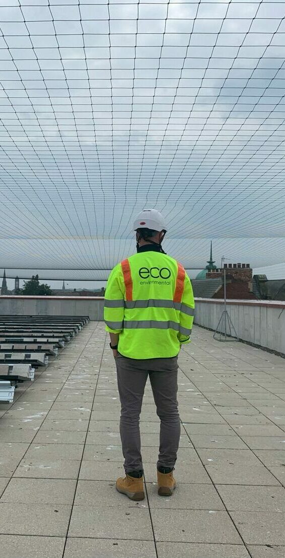 Solar PV Panel Protection | Bird Mesh and Netting