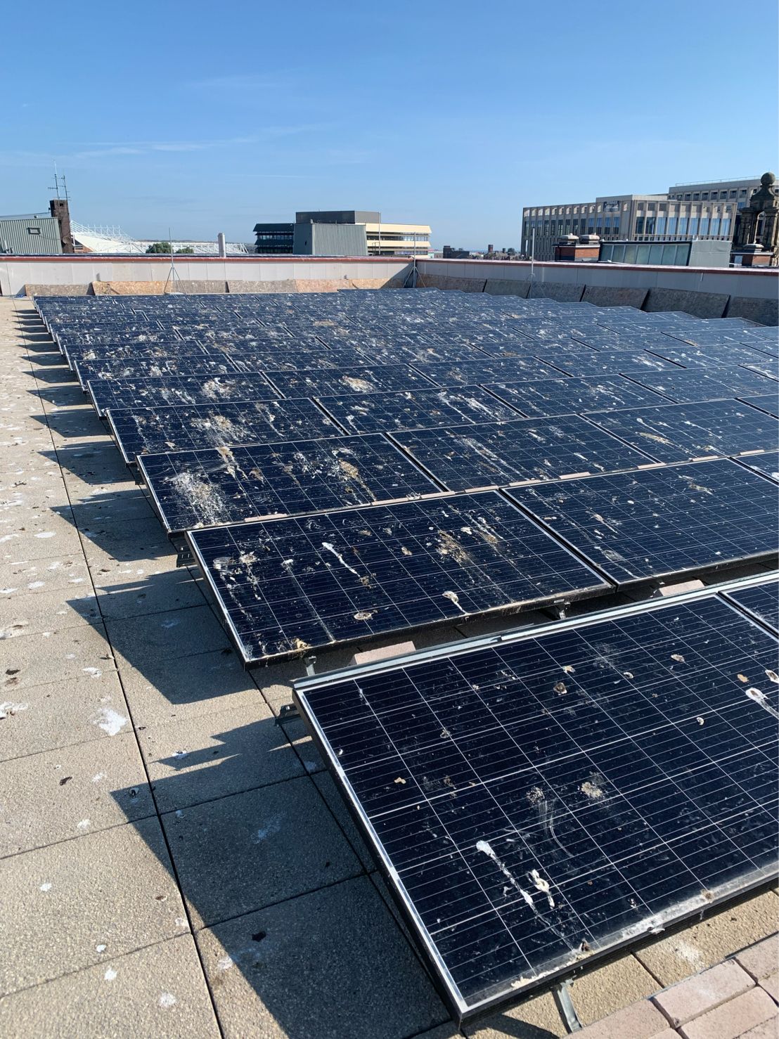 Solar PV Panel Protection | Bird Mesh and Netting