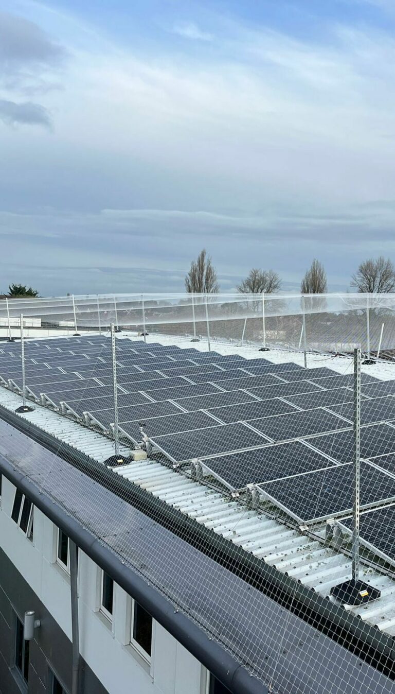 Solar PV Panel Protection | Bird Mesh and Netting