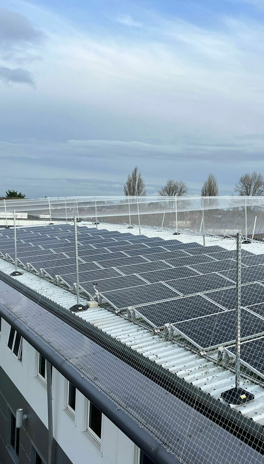 Solar PV Panel Protection | Bird Mesh and Netting