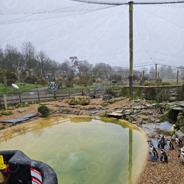 Penguin Enclosure, Whipsnade Zoo, - Eco Environmental Services Ltd